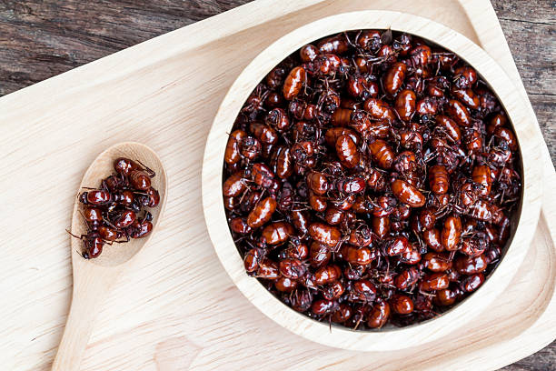 Un viaje lleno de sabores únicos por los platos típicos de Colombia