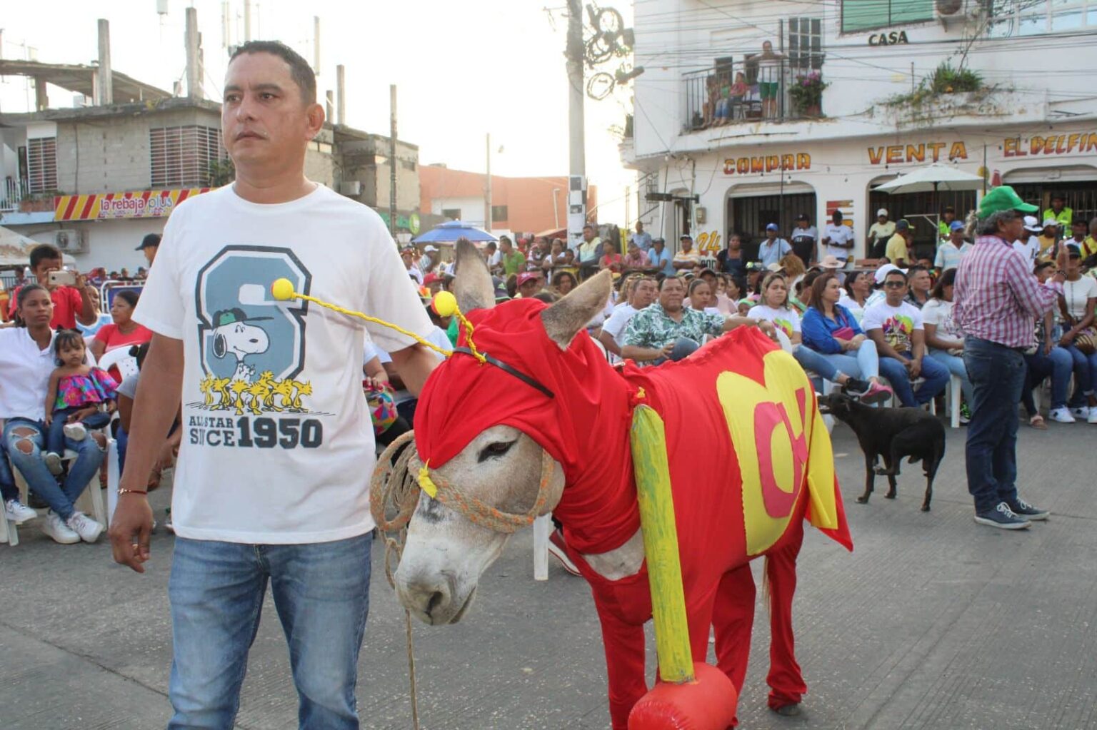 Festival del Burro en San Antero: una aventura cultural en el Caribe